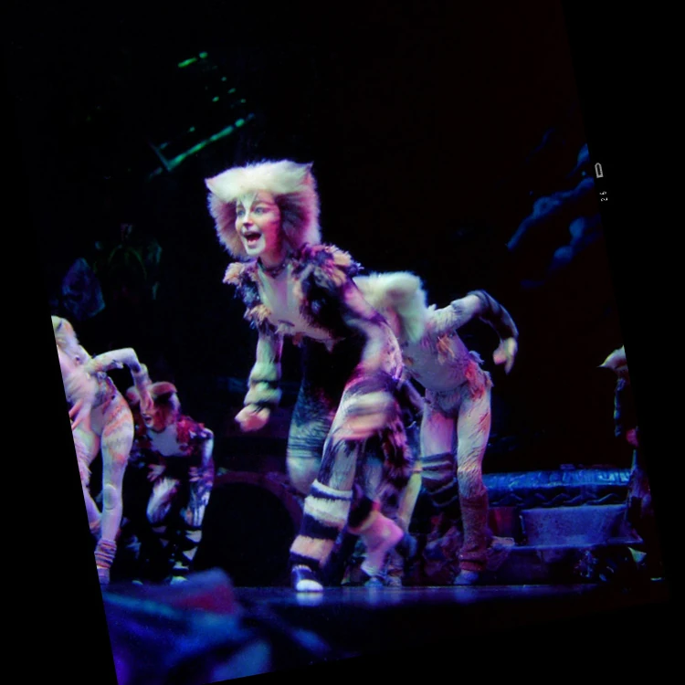 Chelsea Franklin | 'Cats' Musical Wiki | Fandom