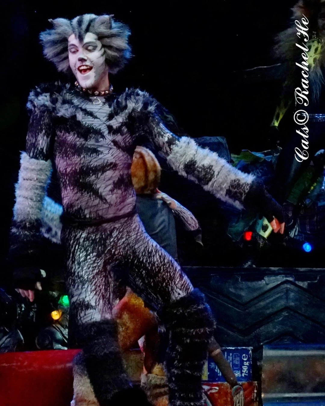 Luke Fraser Yates | 'Cats' Musical Wiki | Fandom