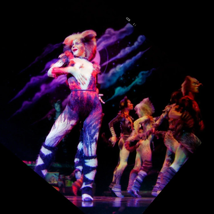 Charmaine Clements | 'Cats' Musical Wiki | Fandom