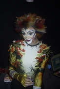 Michelle Marier | 'Cats' Musical Wiki | Fandom