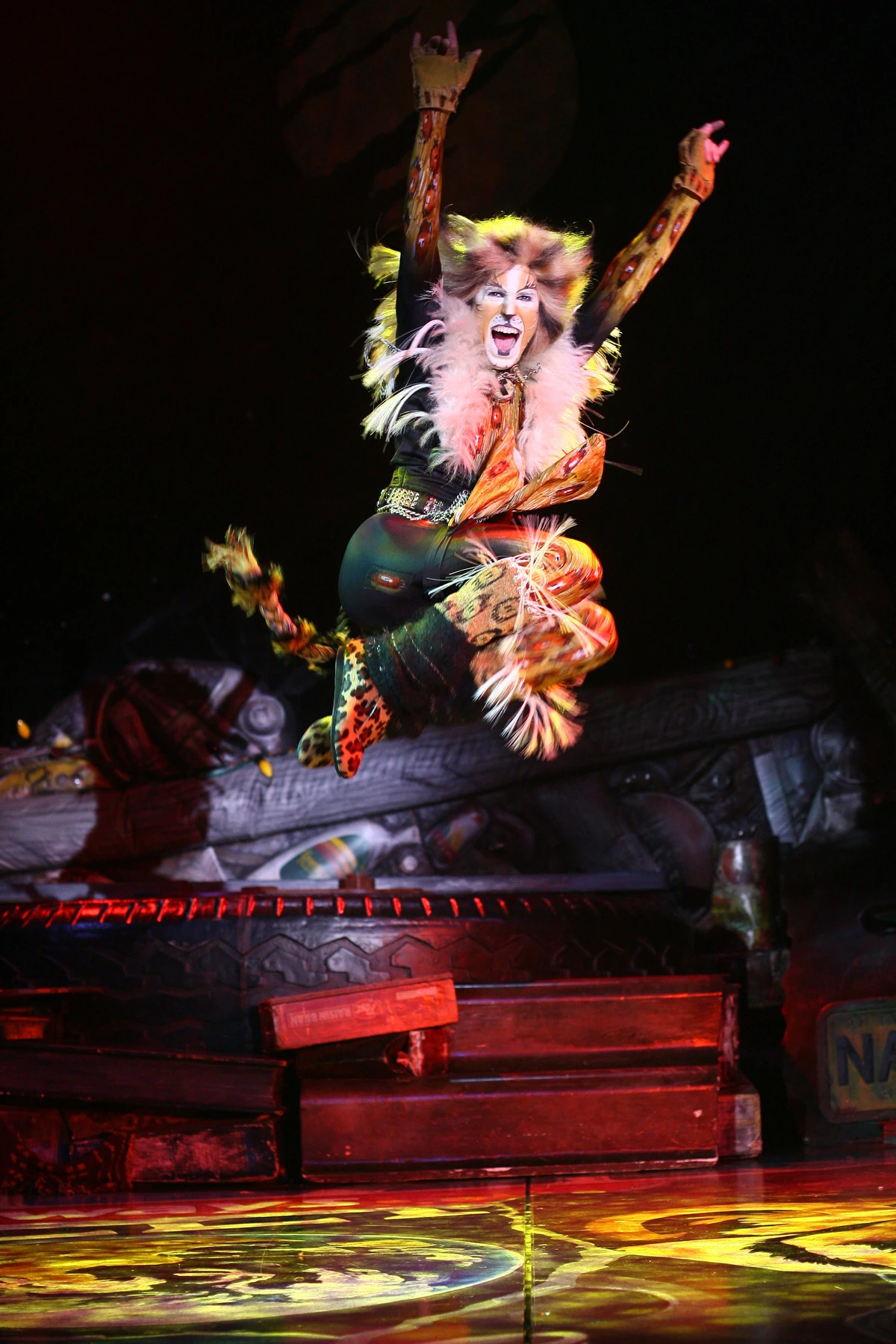 David Schoonover | 'Cats' Musical Wiki | Fandom