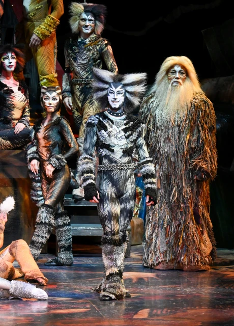 Kazuki Kanemoto | 'Cats' Musical Wiki | Fandom