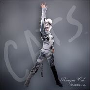 Rumpus Cat | 'Cats' Musical Wiki | Fandom