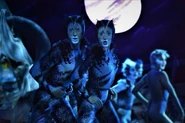 UK Tour 2016 | 'Cats' Musical Wiki | Fandom