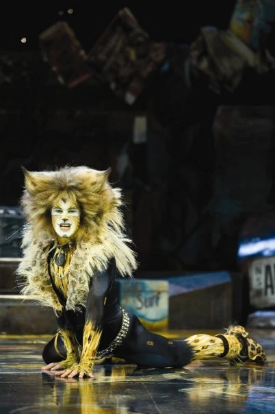 Rohan Browne | 'Cats' Musical Wiki | Fandom