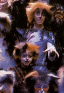 Sandy Strallen | 'Cats' Musical Wiki | Fandom