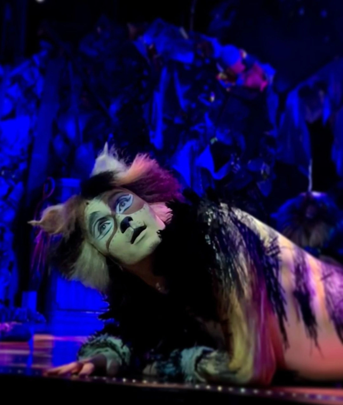 Jamie Armour | 'Cats' Musical Wiki | Fandom