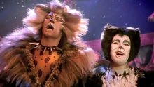 Tuggoffelees | 'Cats' Musical Wiki | Fandom
