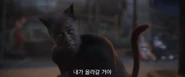 Macavity - 2019 Movie | 'Cats' Musical Wiki | Fandom