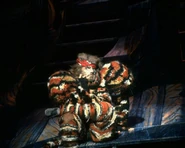 Stephen Hanan | 'Cats' Musical Wiki | Fandom