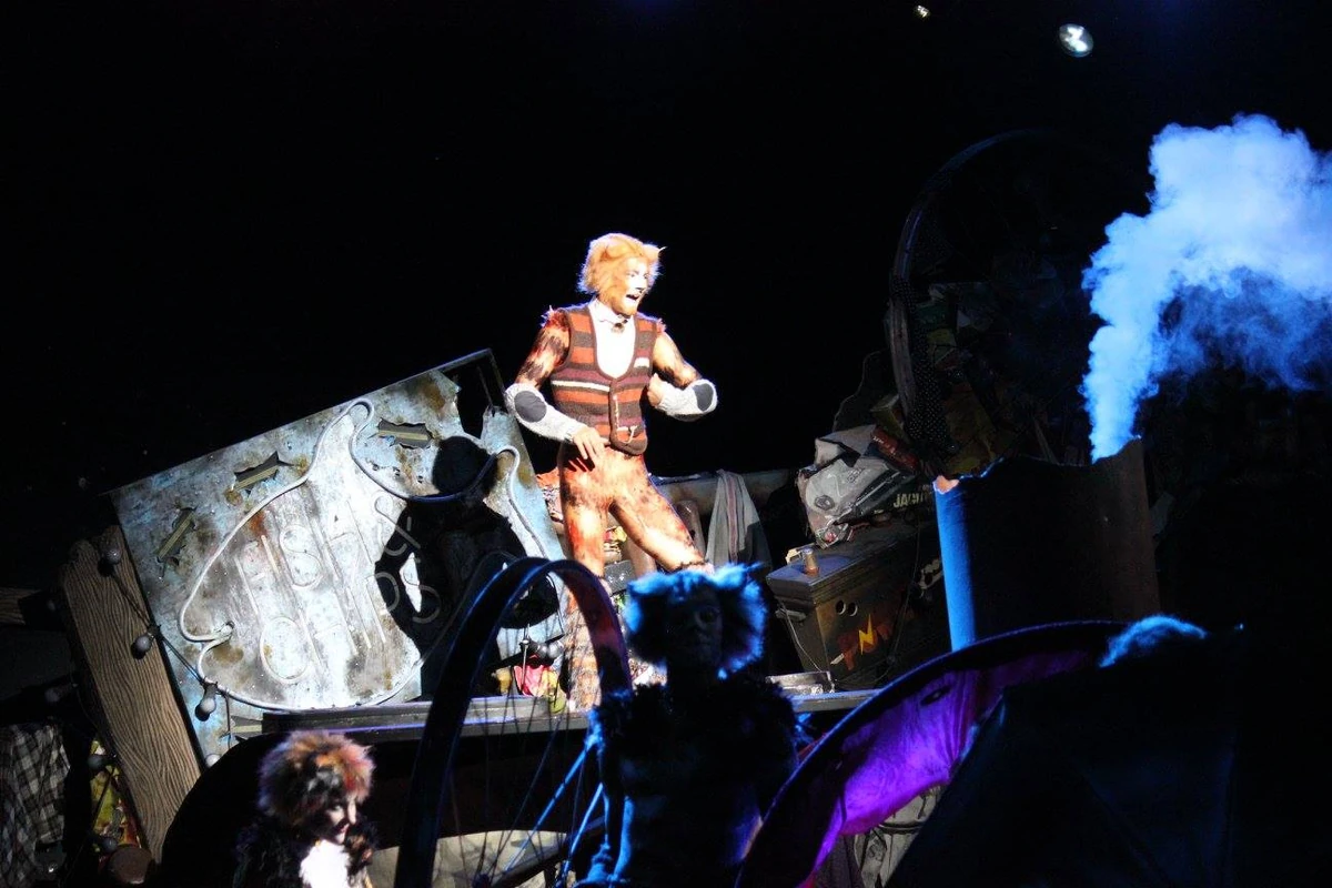 Bryan Mottram | 'Cats' Musical Wiki | Fandom