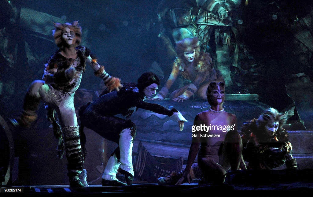 Chris Mackenthun | 'Cats' Musical Wiki | Fandom