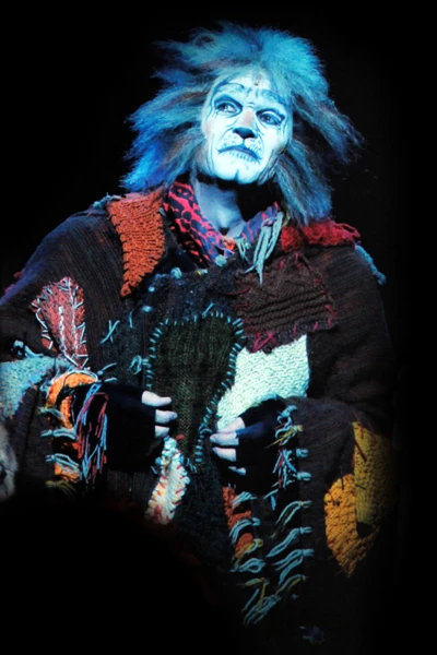 Gus, the Theatre Cat | 'Cats' Musical Wiki | Fandom