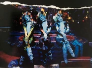 Antwerp 1996 | 'Cats' Musical Wiki | Fandom