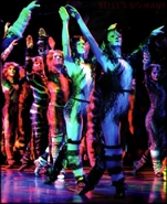 Philip Comley | 'Cats' Musical Wiki | Fandom
