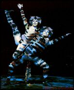 Nick Searle | 'Cats' Musical Wiki | Fandom