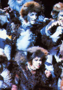Bryn Walters | 'Cats' Musical Wiki | Fandom