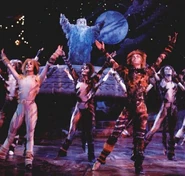Toronto 1985 | 'Cats' Musical Wiki | Fandom