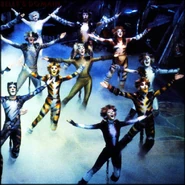 Drew Varley | 'Cats' Musical Wiki | Fandom