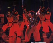 Amsterdam 1987 | 'Cats' Musical Wiki | Fandom