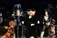 Bustopher Jones: The Cat About Town | 'Cats' Musical Wiki | Fandom