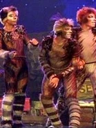 Bryn Walters | 'Cats' Musical Wiki | Fandom