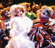 Growltiger | 'Cats' Musical Wiki | Fandom