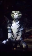Callum Train | 'Cats' Musical Wiki | Fandom