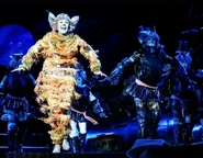 The Old Gumbie Cat | 'Cats' Musical Wiki | Fandom