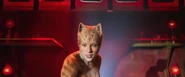 Taylor Swift | 'Cats' Musical Wiki | Fandom