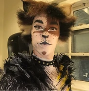 Robbie Nicholson | 'Cats' Musical Wiki | Fandom
