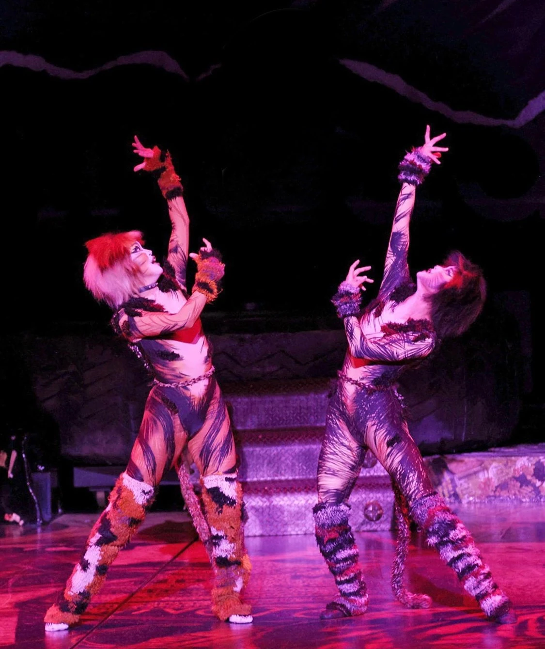 Hikari Ono | 'Cats' Musical Wiki | Fandom