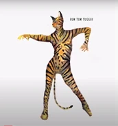 Rum Tum Tugger - 2019 Movie | 'Cats' Musical Wiki | Fandom