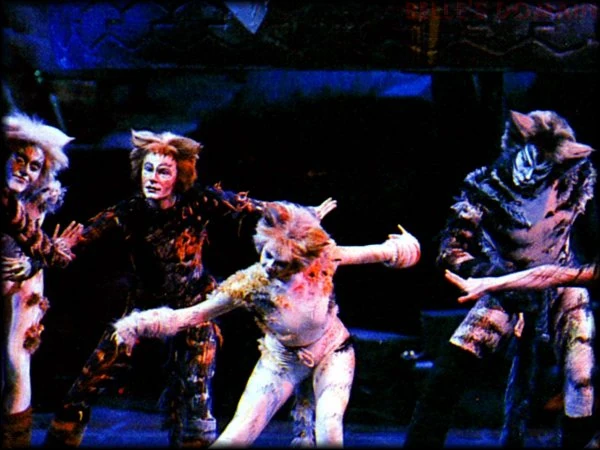 Hartwig Rudolz | 'Cats' Musical Wiki | Fandom