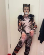 Freddie Clements | 'Cats' Musical Wiki | Fandom