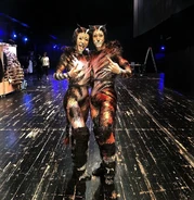 Rhys Batten | 'Cats' Musical Wiki | Fandom