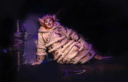The Old Gumbie Cat | 'Cats' Musical Wiki | Fandom