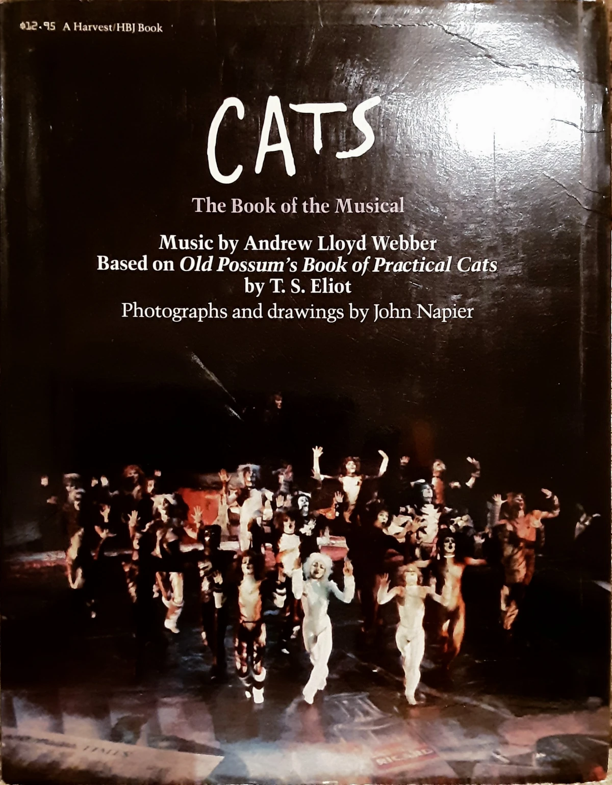 Cats: The Book of the Musical | 'Cats' Musical Wiki | Fandom