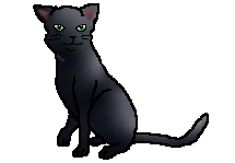 Midnight | Cats of the Clans Wiki | Fandom