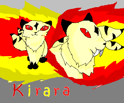 Kirara | Cats of the Clans Wiki | Fandom