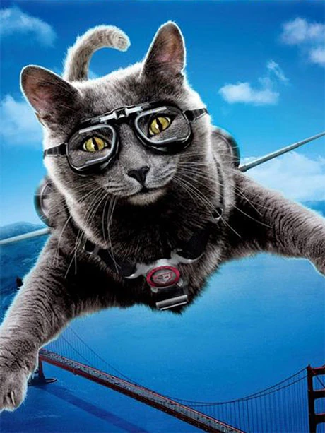 Catherine | Cats of the Clans Wiki | Fandom