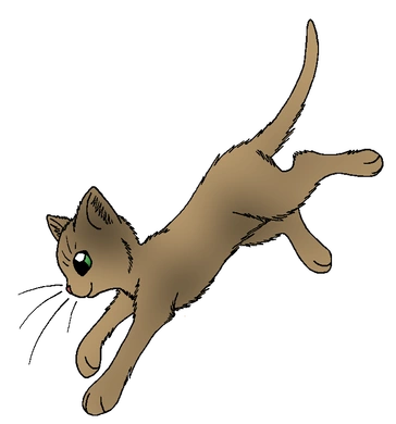 Thunderclaw | Cats of StarClan Wiki | Fandom