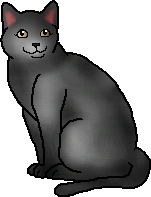 Hazelnose | Cats of the Wild Wiki | Fandom