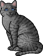 Dewdrop | Cats of the Wild Wiki | Fandom