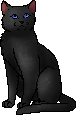 Nightstar | Cats of the Wild Wiki | Fandom