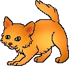 Brightkit | Cats of the Wild Wiki | Fandom