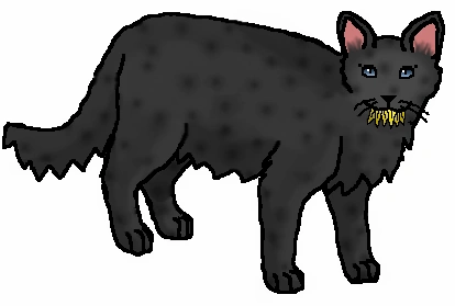 Category:Lightning Clan Cat | Catsofthewoods Wiki | Fandom
