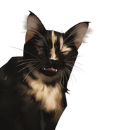 Buttercup | Cattails Game Wiki | Fandom