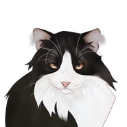 Coco/Wildwood Story | Cattails Game Wiki | Fandom