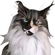 Talon | Cattails Game Wiki | Fandom